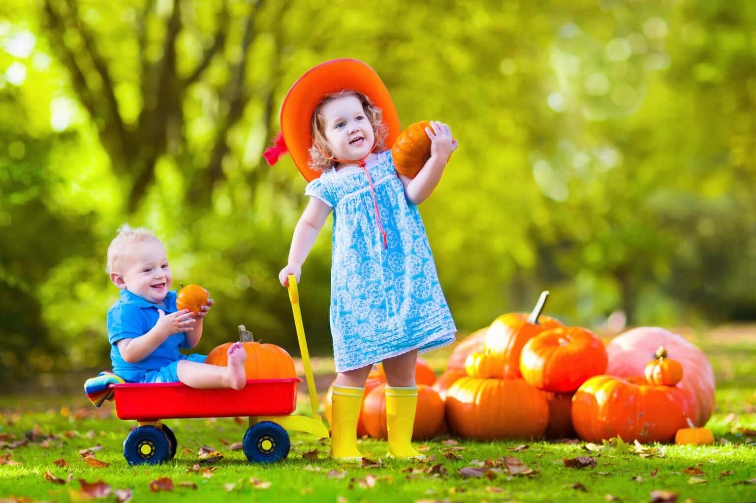 Long Island Farms Provide Fantastic Fall Family Fun - Your Local Kids